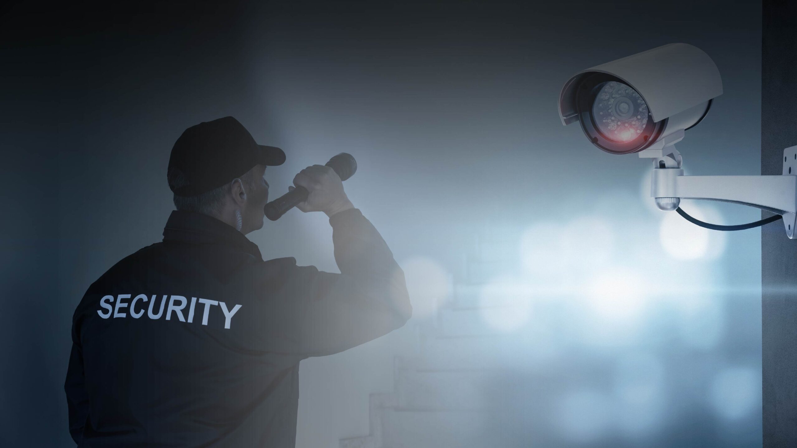 Community Action Security - Hiring Professional Security Guard Companies vs. Relying Solely on ...